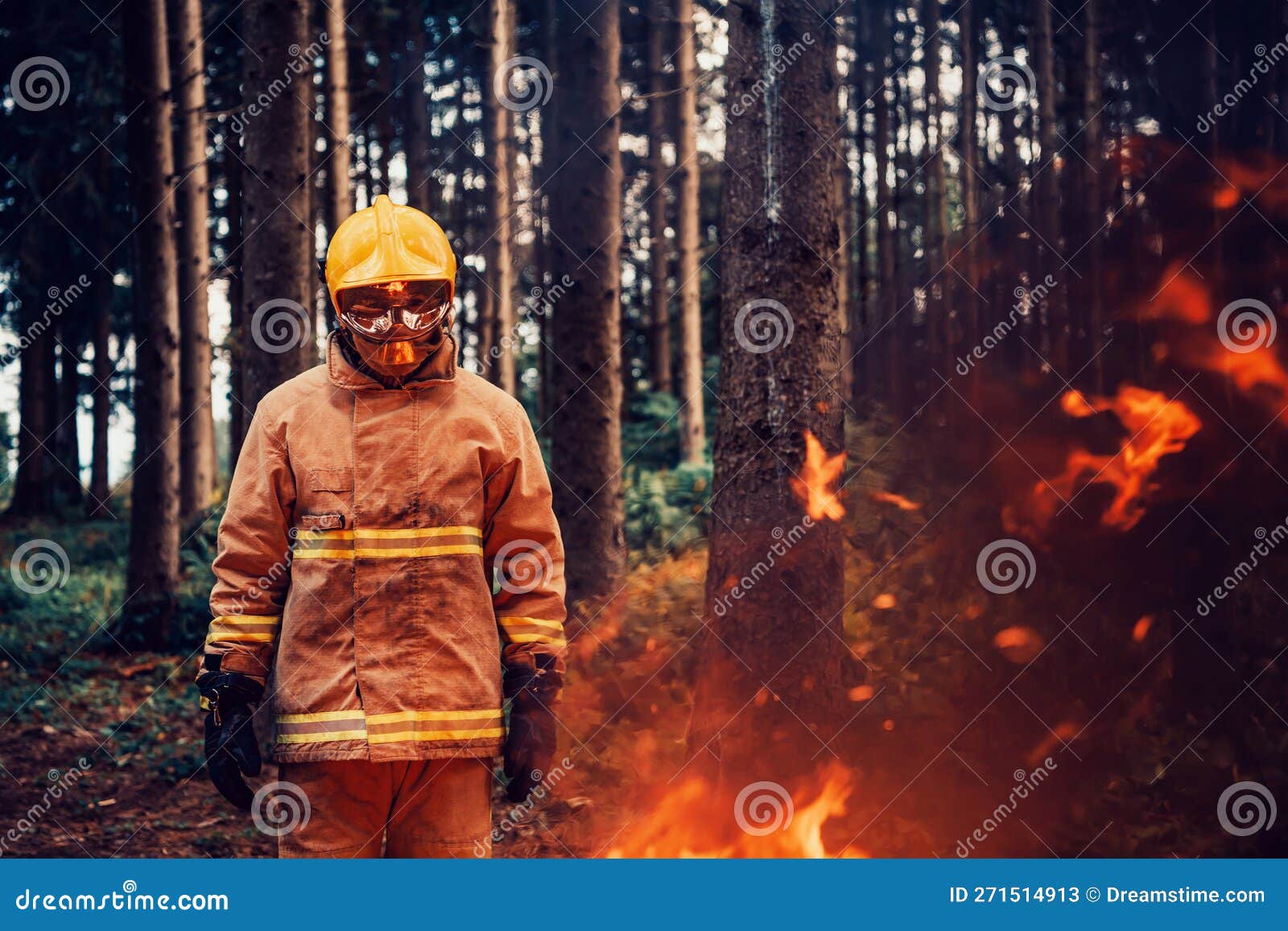 Firefighter at Job. Firefighter in Dangerous Forest Areas Surrounded by ...
