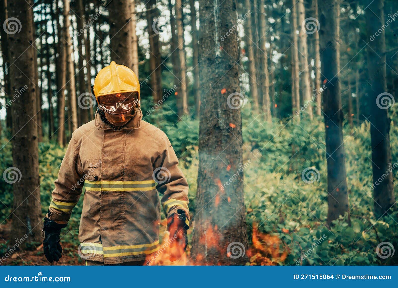 Firefighter at Job. Firefighter in Dangerous Forest Areas Surrounded by ...