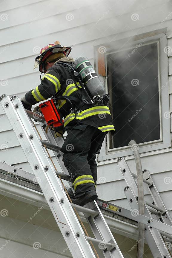 Firefighter on Ladder stock photo. Image of fighter, ladder - 7903350