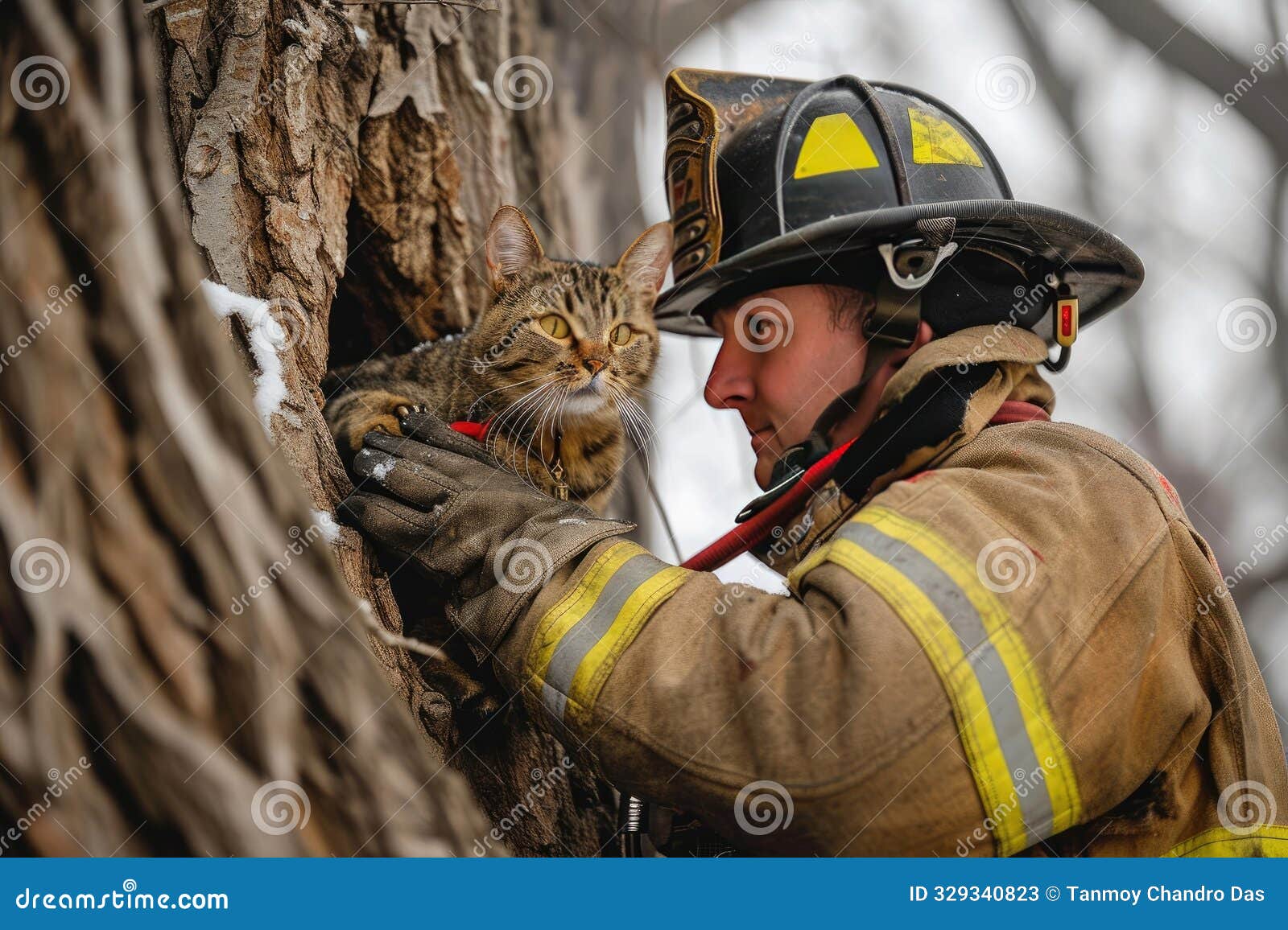 A Firefighter Saving a Cat from a Tree, AI Generated Stock Illustration ...