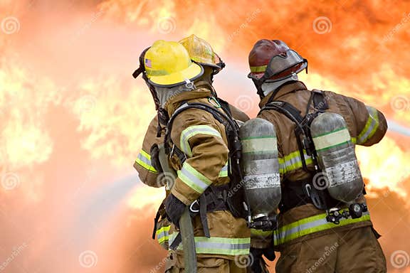 Firefighter Teamwork stock photo. Image of work, fireman - 3079080