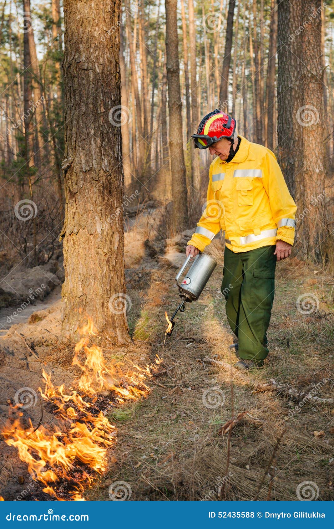 Firefighter Using a Controlled Fire in the Forest Editorial Stock Photo ...