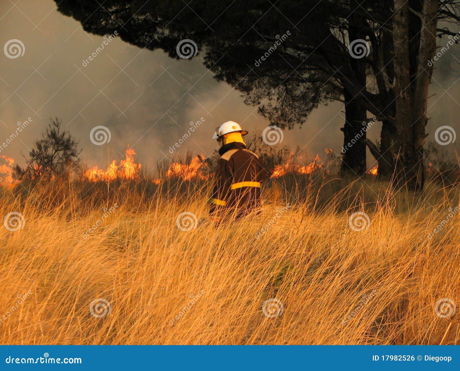 Walking Man Fire Stock Images - Download 1,441 Royalty Free Photos