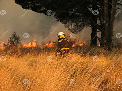 Firefighter Walking To the Fire Editorial Photo - Image of grass ...