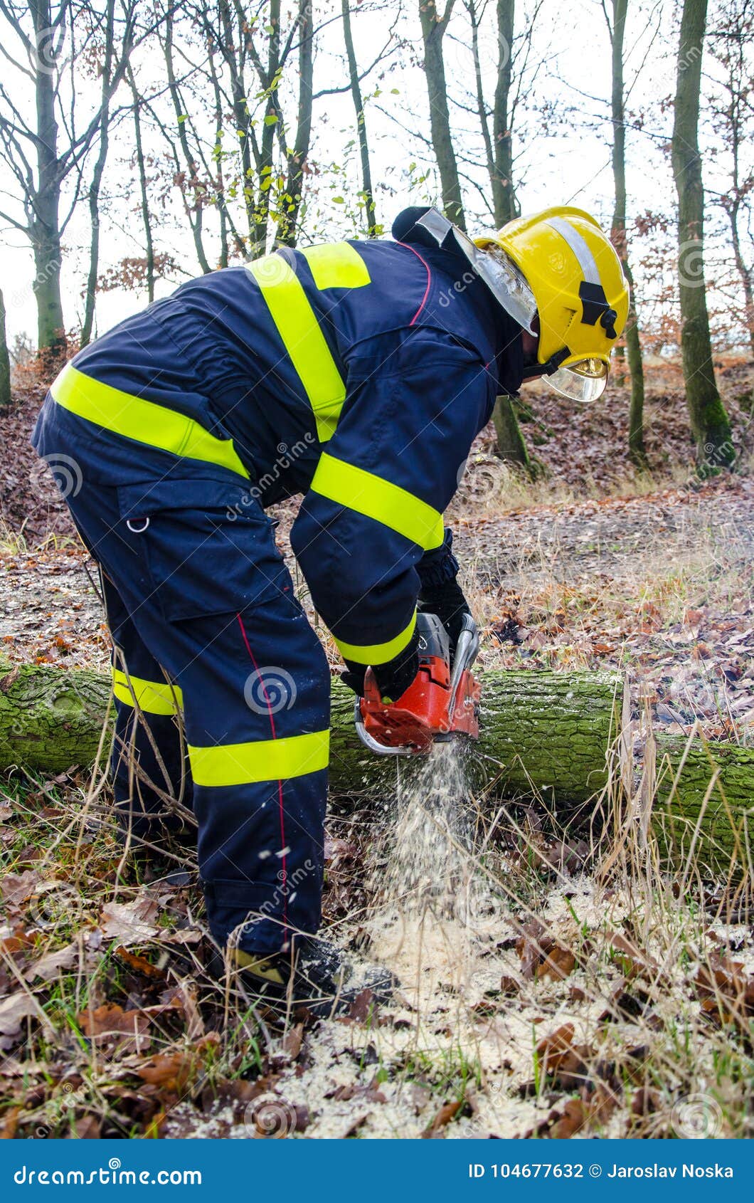 Firefighters in Action after a Windy Storm Editorial Photography ...