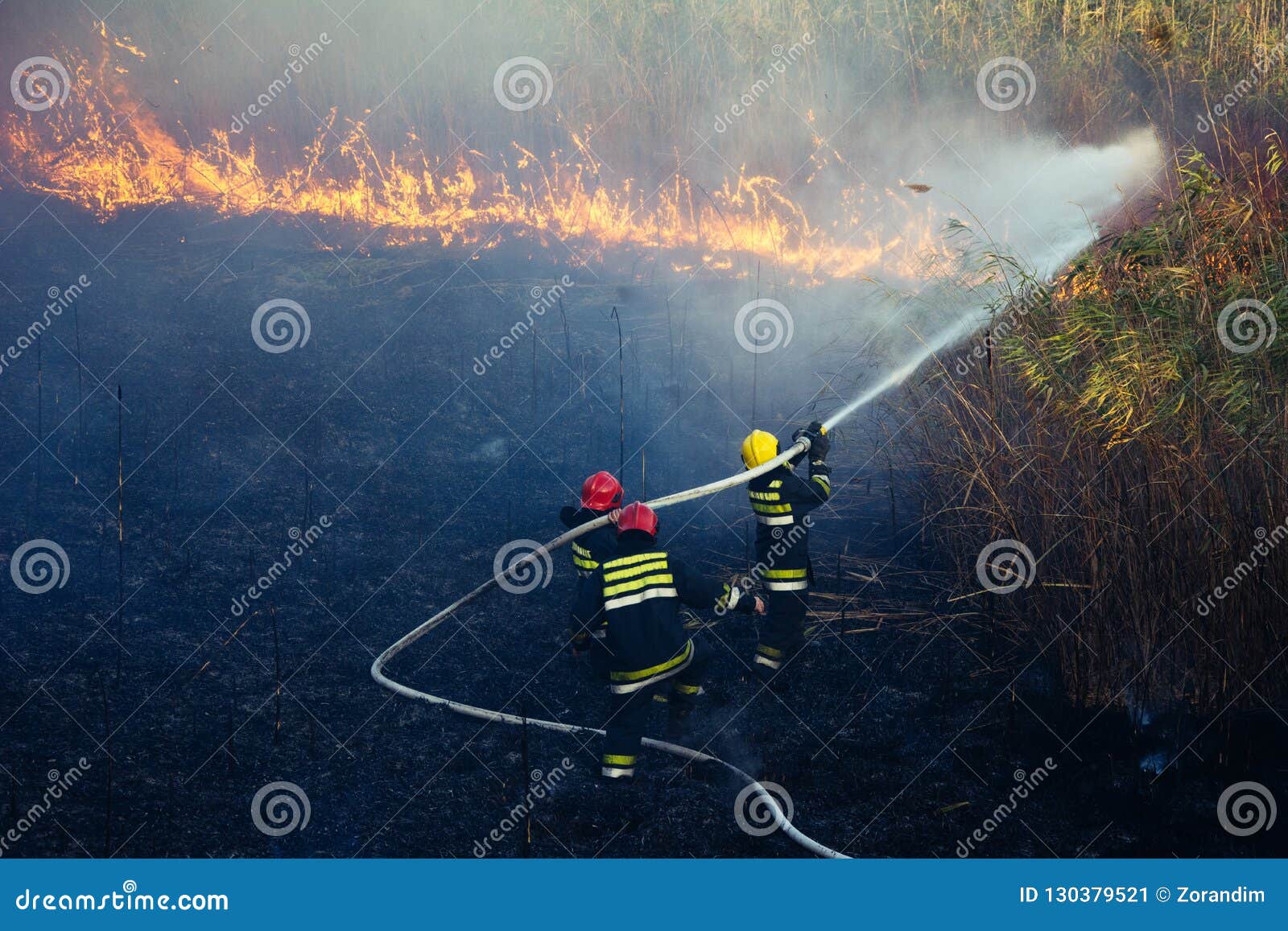 Firefighters Battle a Wildfire Editorial Photo - Image of environmental ...