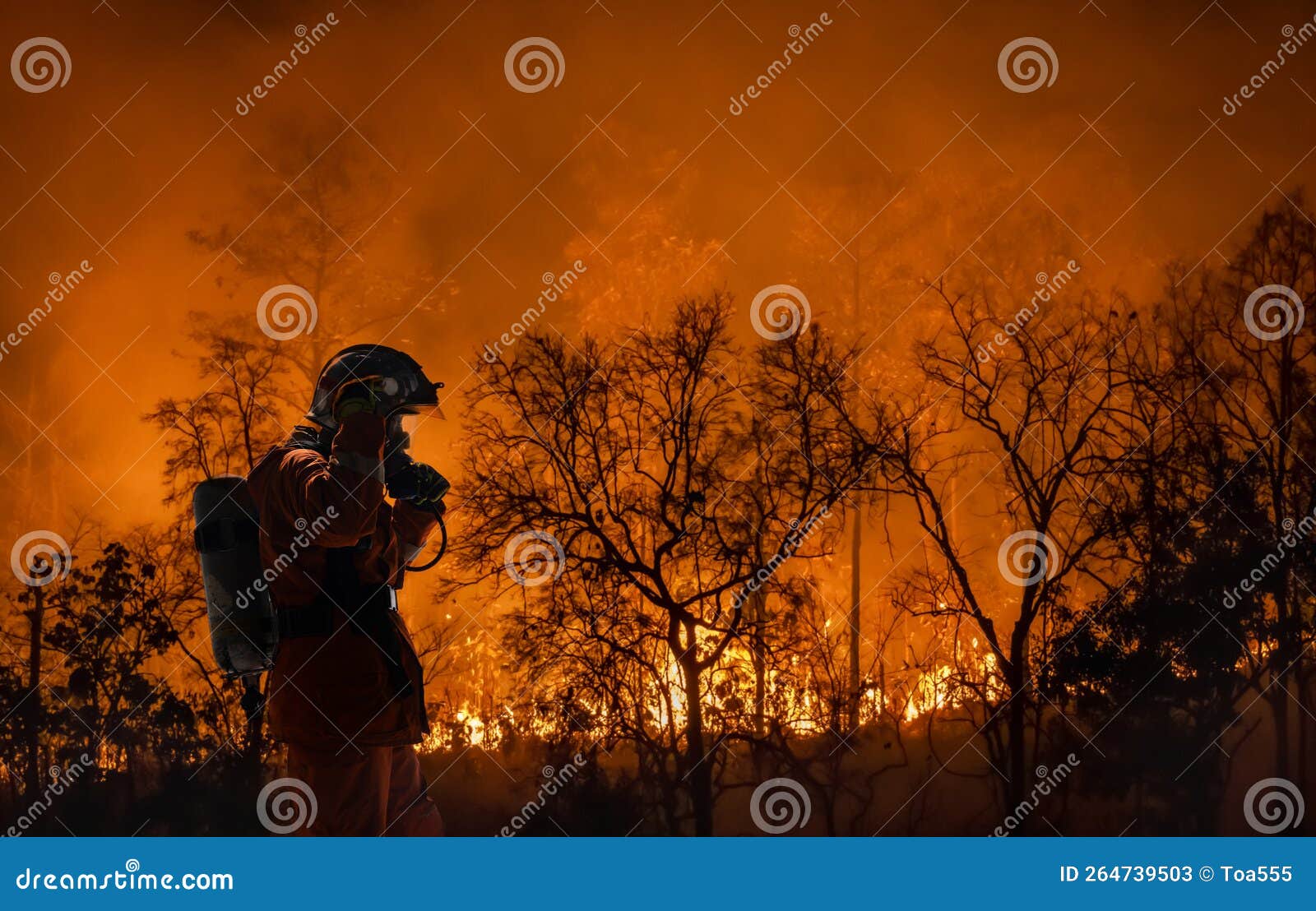 Firefighters Battle A Wildfire. Firefighters Spray Water To Wildfire ...