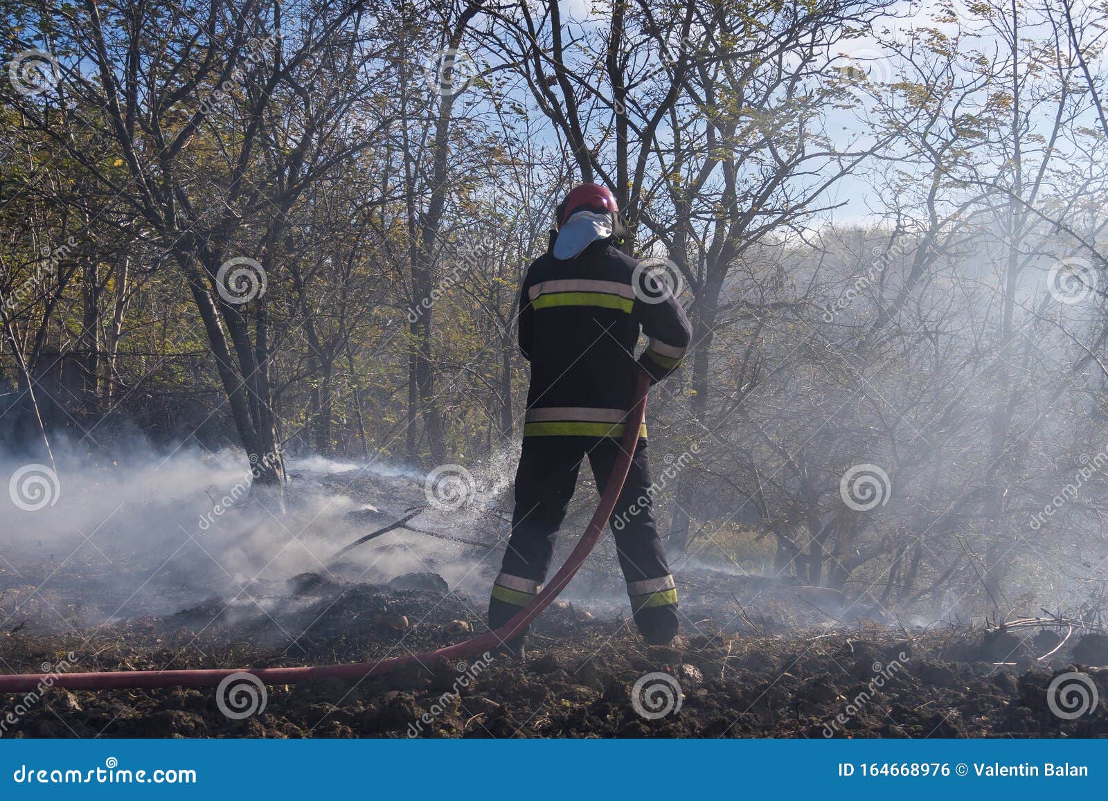 Firefighters Battle a Wildfire in a Forest. Editorial Photo - Image of ...