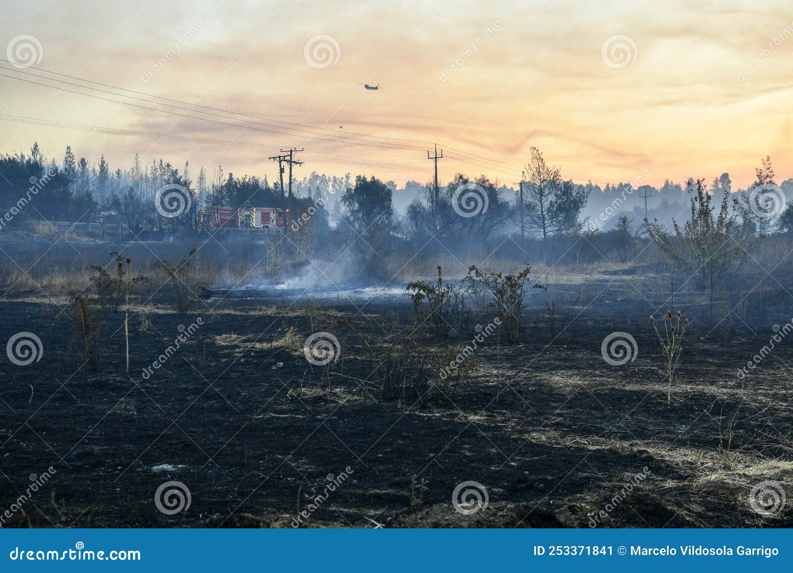 Firefighters Controlling the Forest Fire Stock Image - Image of ...