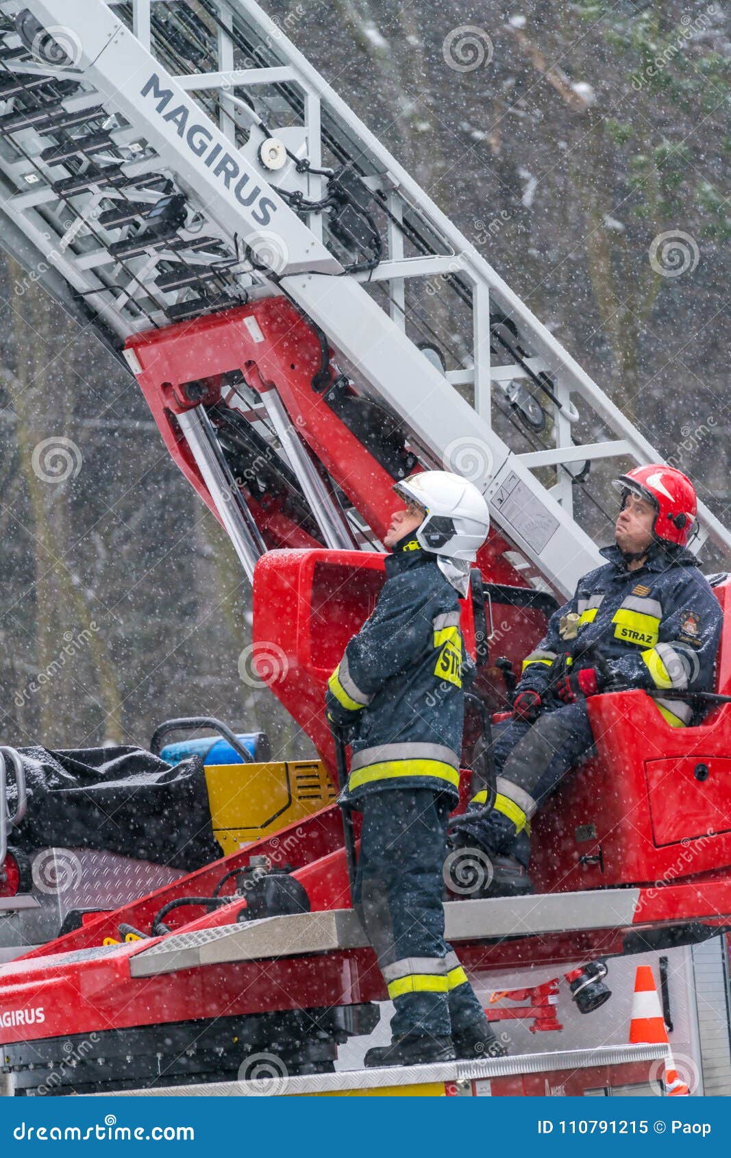 Firefighters Cutting Branches of a Tree Editorial Image - Image of ...