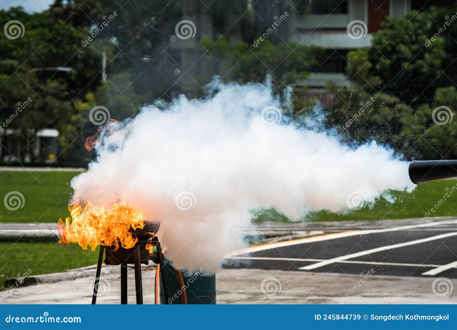 Fire demonstration stock image. Image of rally, protests - 245844739