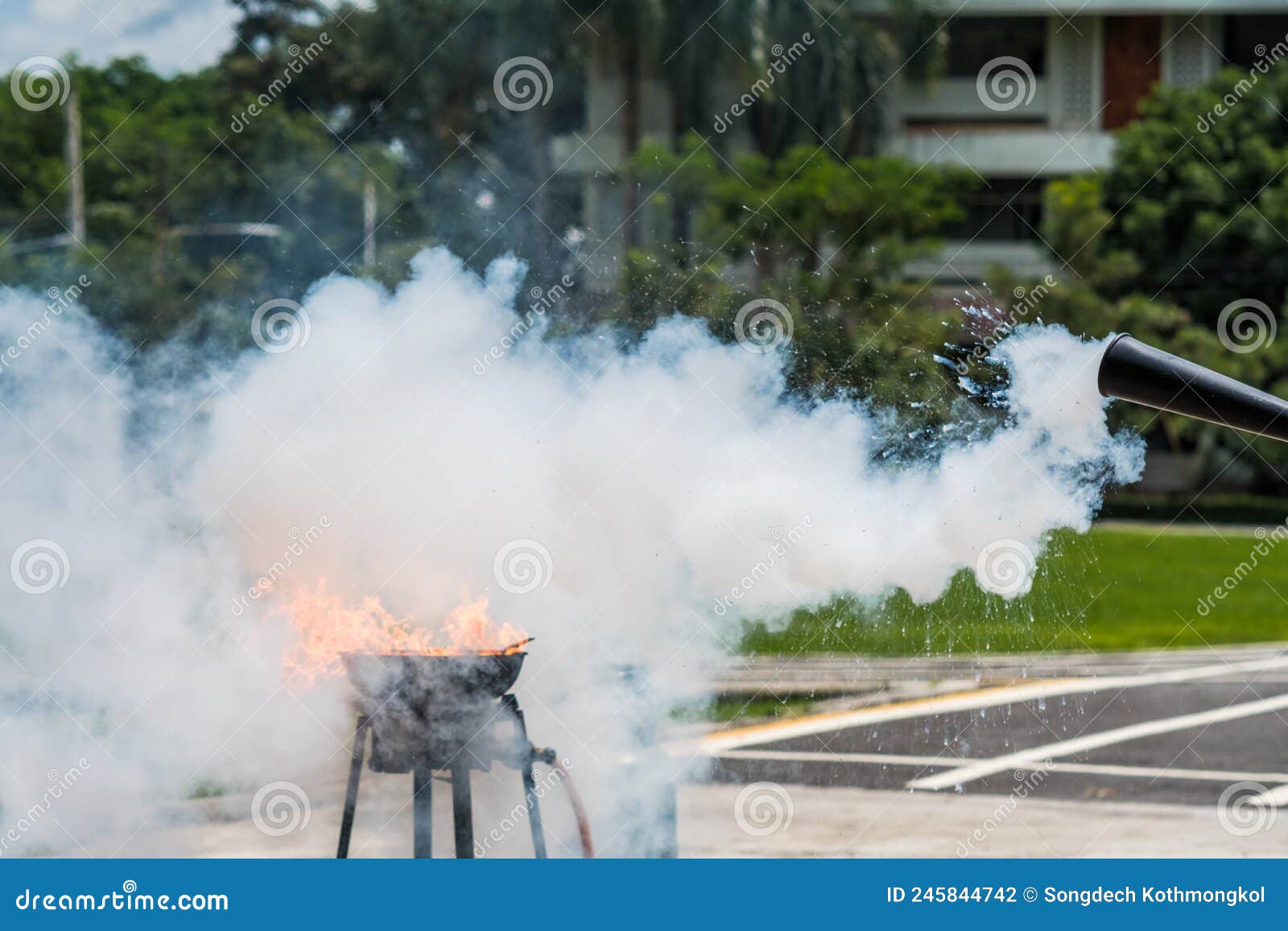Fire demonstration stock photo. Image of rally, jaunes - 245844742