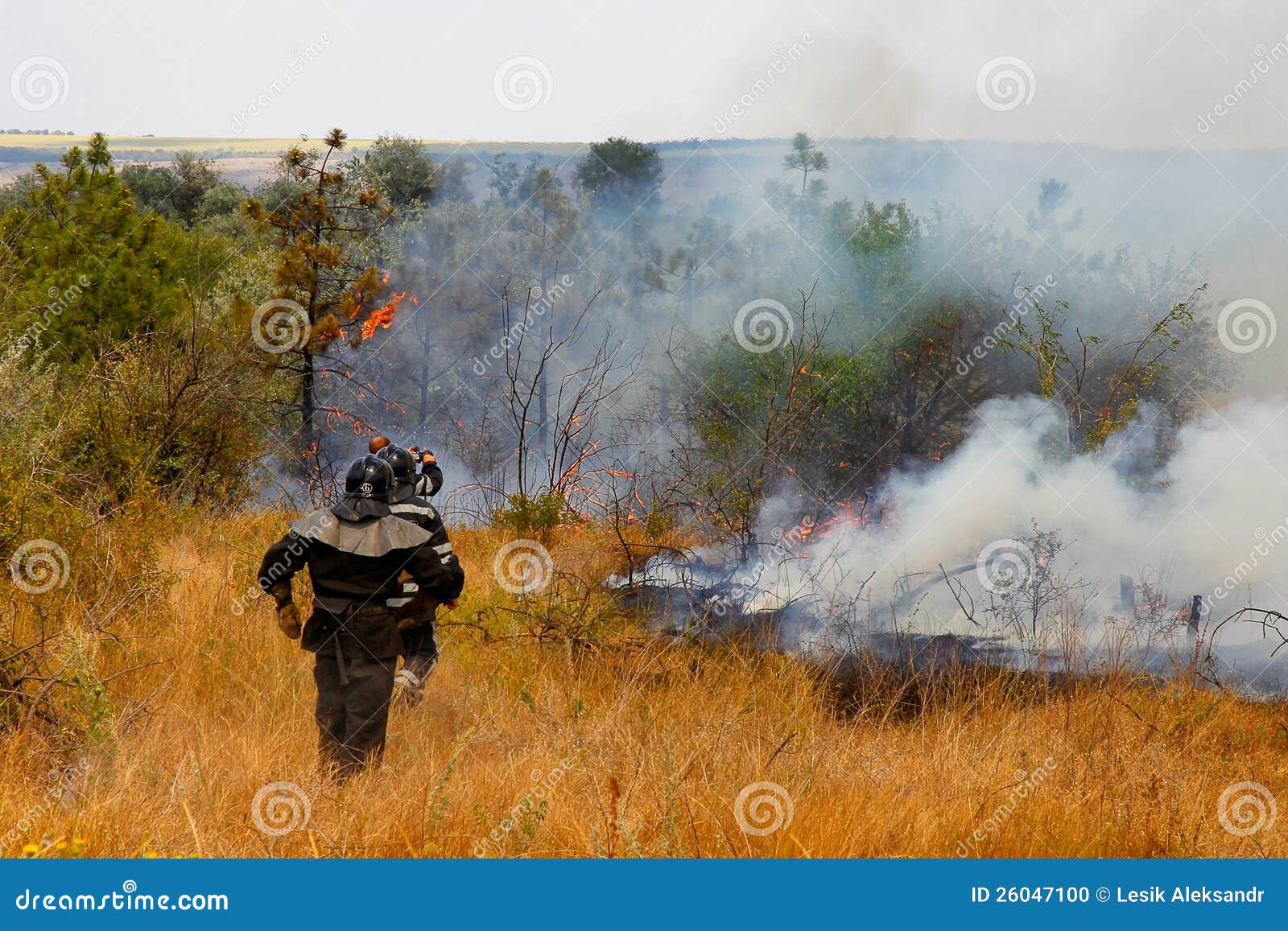 Firefighters Extinguish a Fire in the Woods Stock Photo - Image of ...