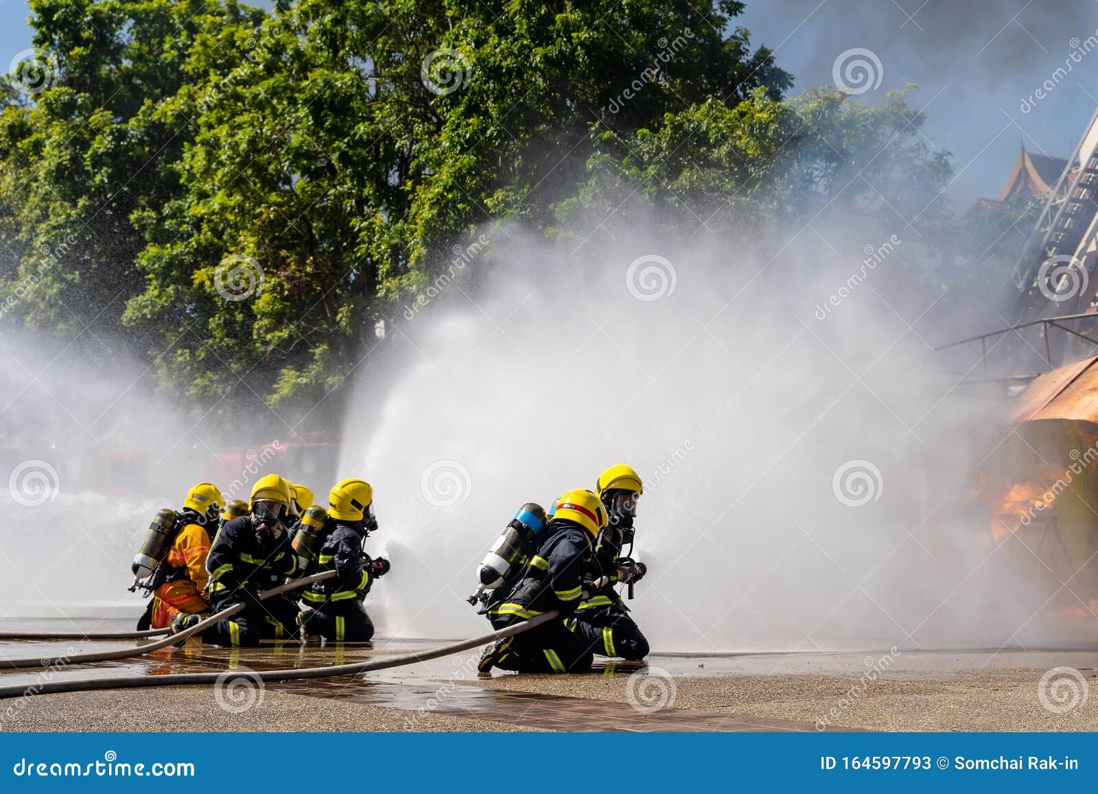 Water Springer In The Farm Sugarcane Editorial Image | CartoonDealer ...