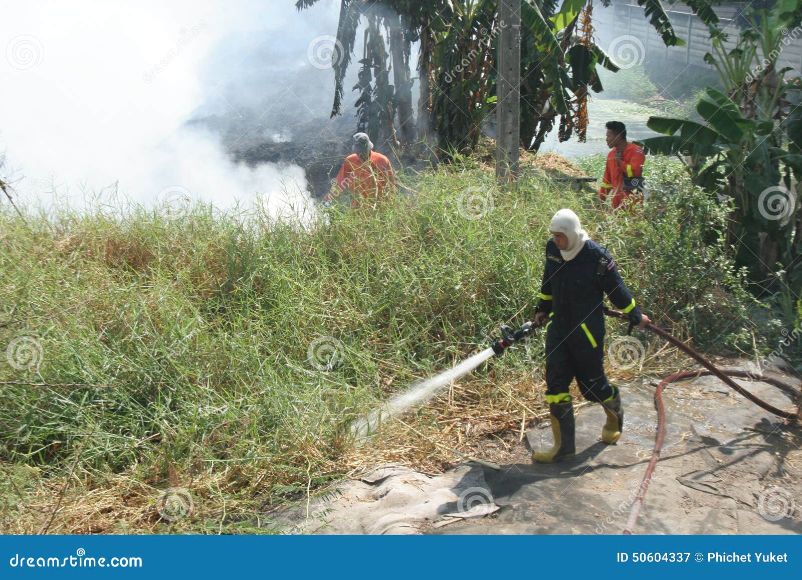 Firefighters editorial photography. Image of forest, firefighters ...