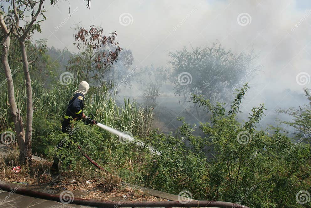 Firefighters editorial stock photo. Image of fires, jungle - 50604463