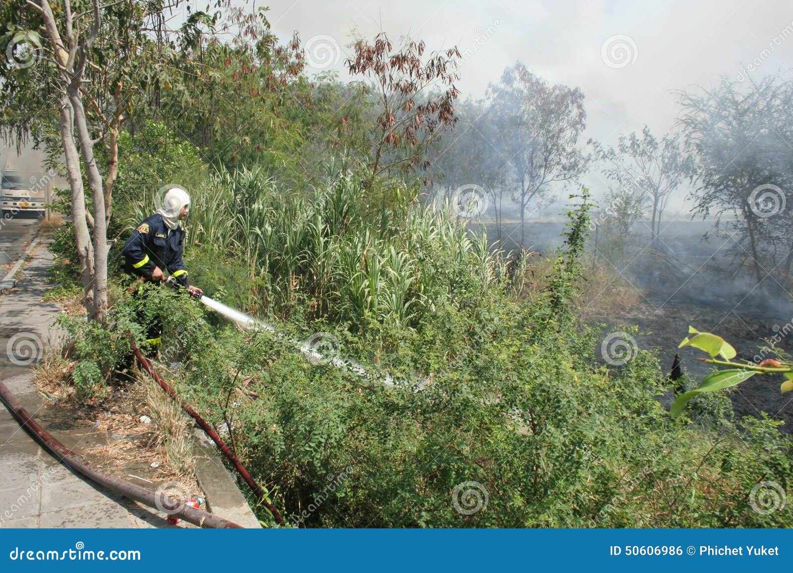 Firefighters editorial photo. Image of jungle, fires - 50606986