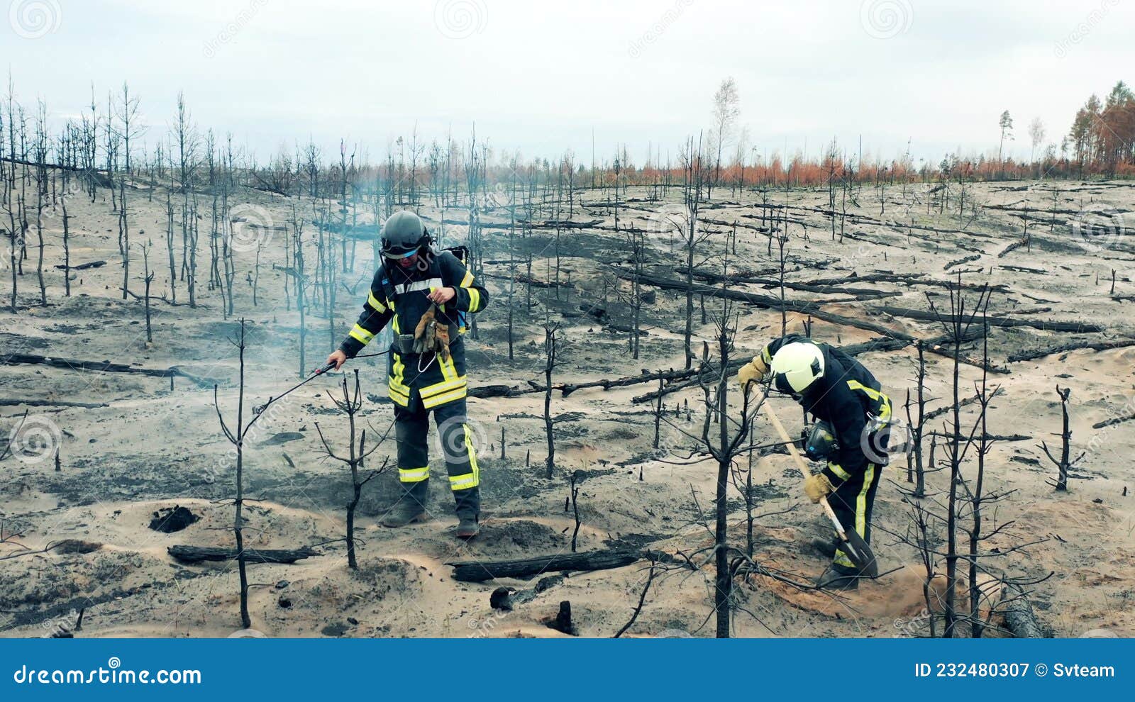Firefighters are Handling Smoldering Forest Fire Stock Video - Video of ...