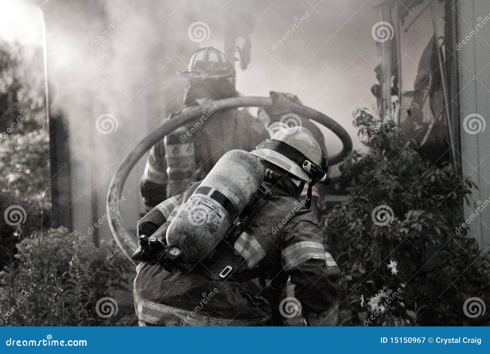 Firefighters holding hose stock image. Image of black - 15150967