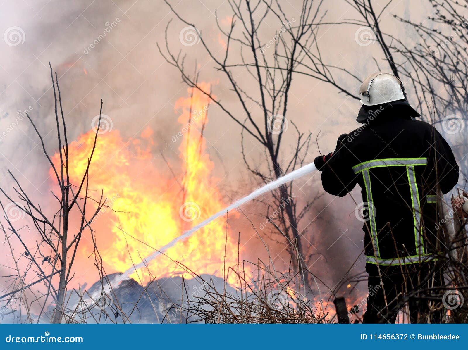 Firefighters Spray Water To Wildfire. Firefighter Extinguishes a ...