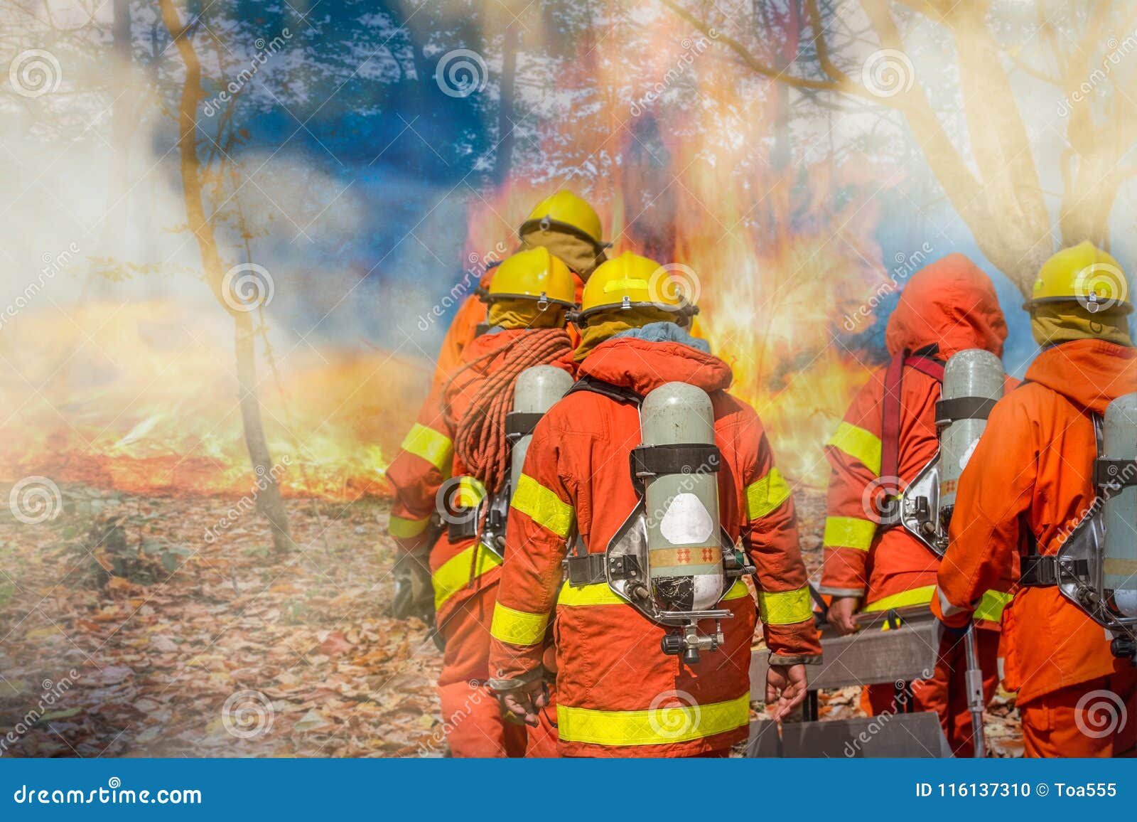 Firefighters Team with Equipment. Stock Photo - Image of natural ...