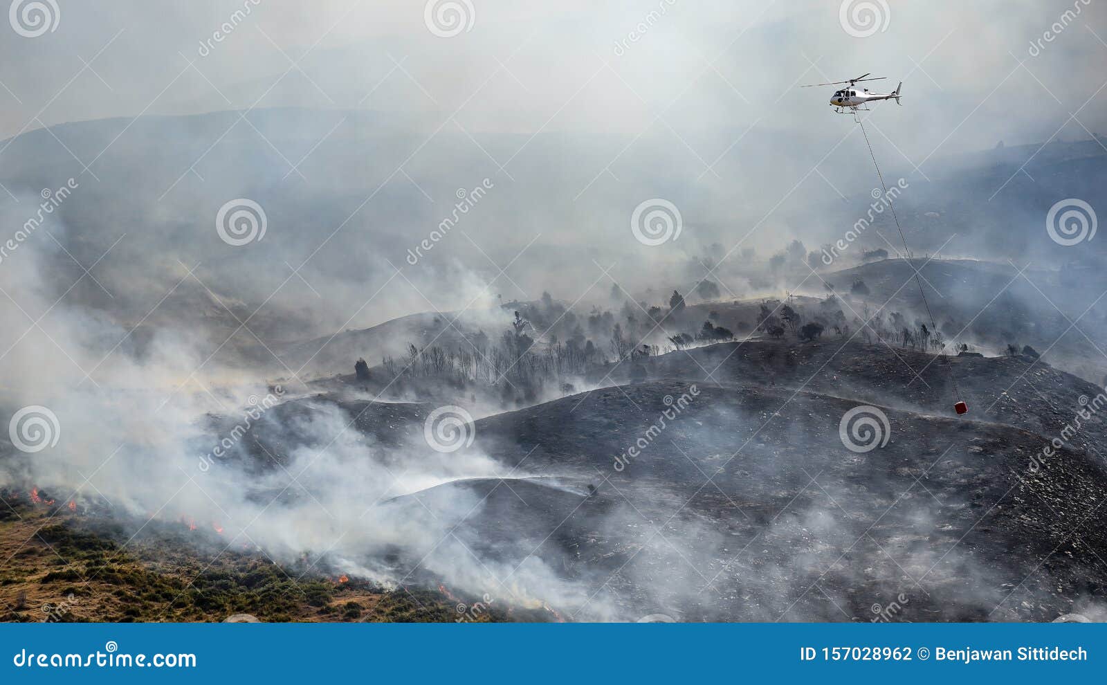 Firefighting Helicopter Drop Water on Forest Fire Stock Photo - Image ...