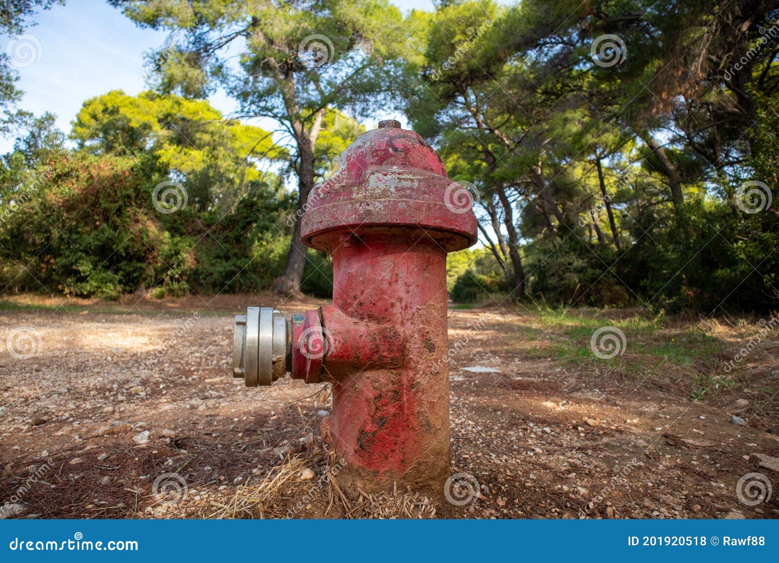 Firefighting Public System Fire Hydrant Red Color Outdoors In Forest ...