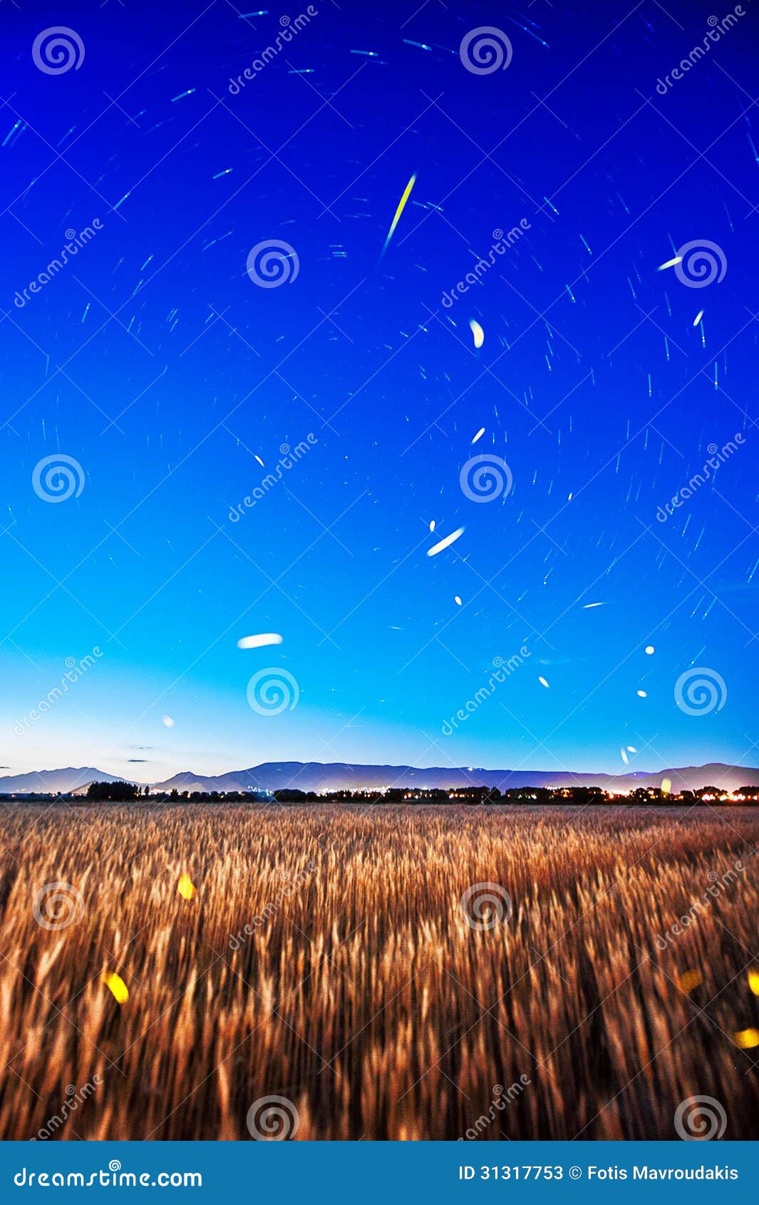 Fireflies dancing stock image. Image of exposure, astrophotography ...