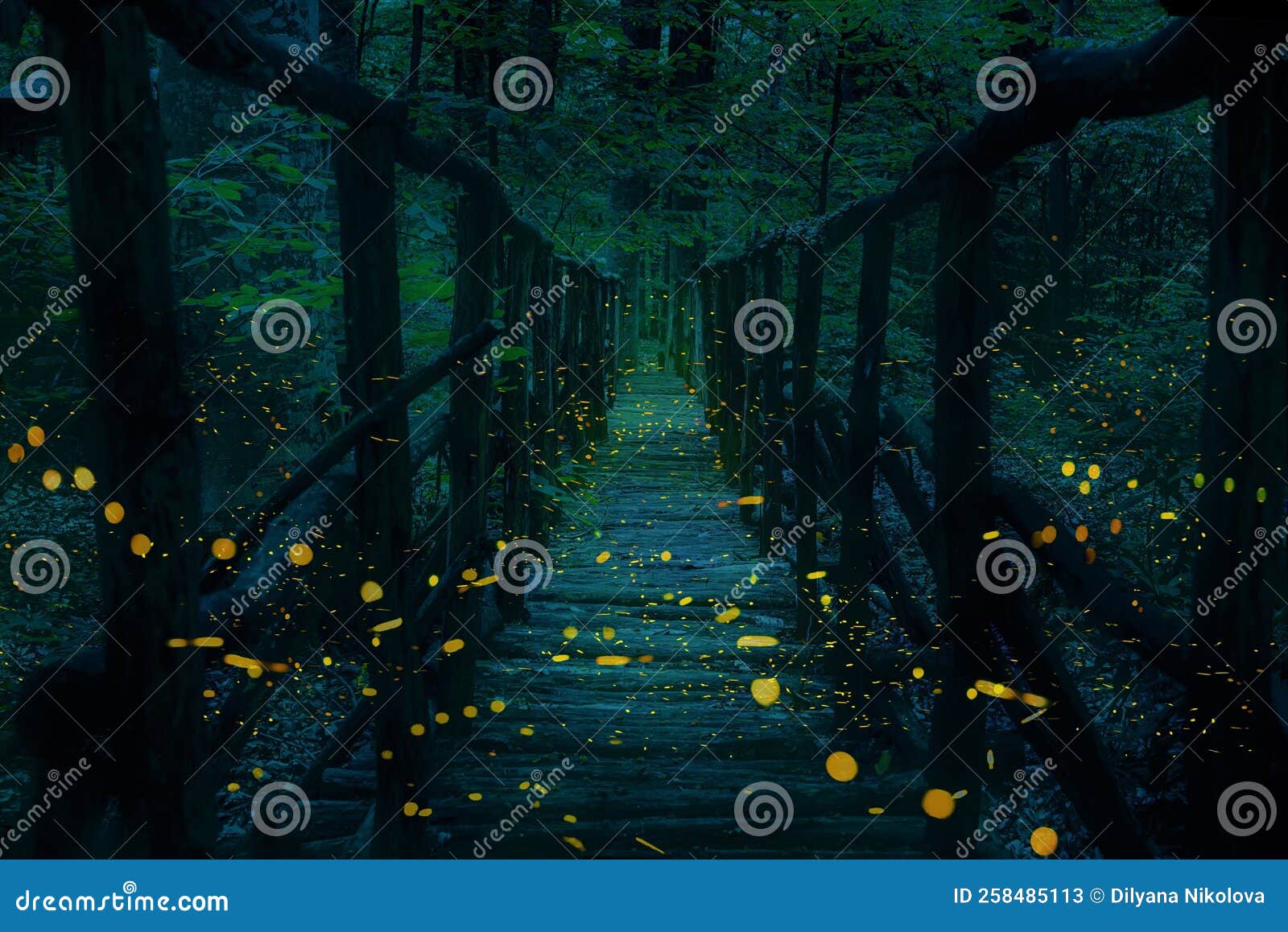 Fireflies Flying Over a Wooden Bridge in the Forest at Twilight Stock ...
