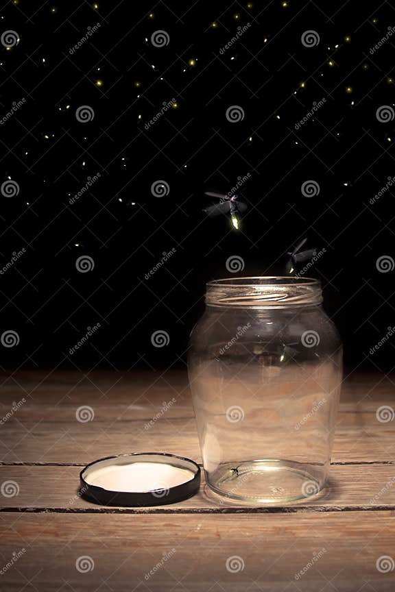Fireflies in a jar stock photo. Image of escaping, relaxing - 17981000