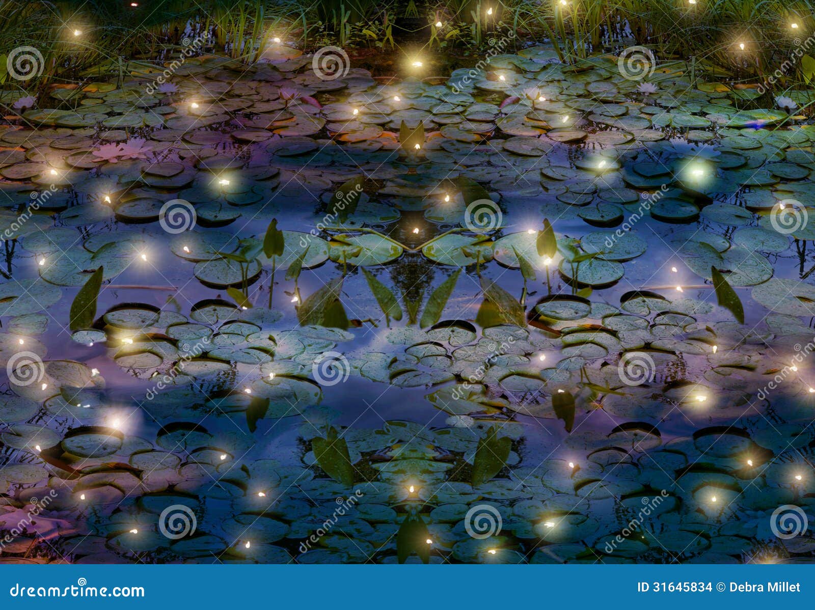 Fireflies and Water Lily Pond at Night Stock Photo - Image of water ...