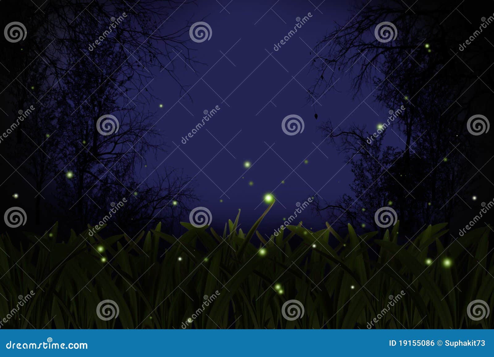 Firefly. stock photo. Image of tree, romance, firefly - 19155086