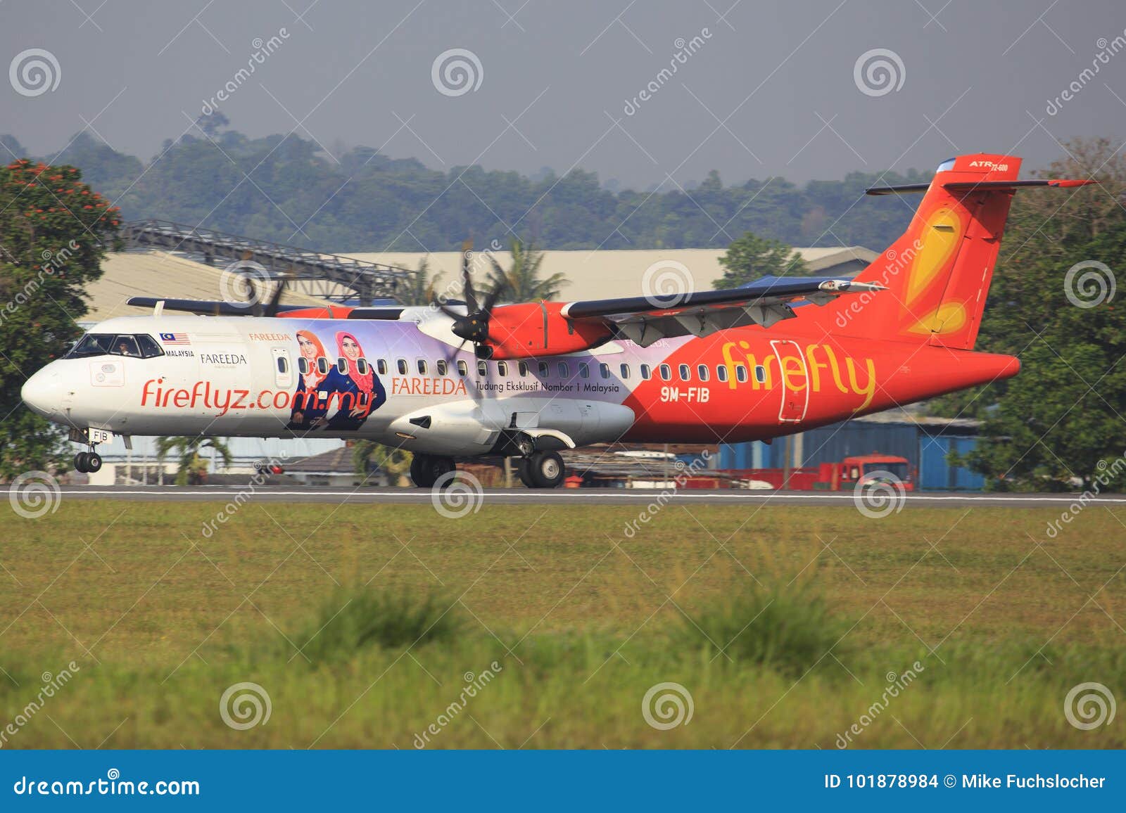 Firefly editorial stock image. Image of color, airline - 101878984