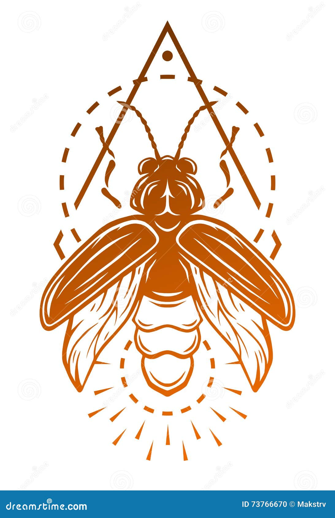 Firefly and Geometric Elements. Stock Vector - Illustration of wing ...