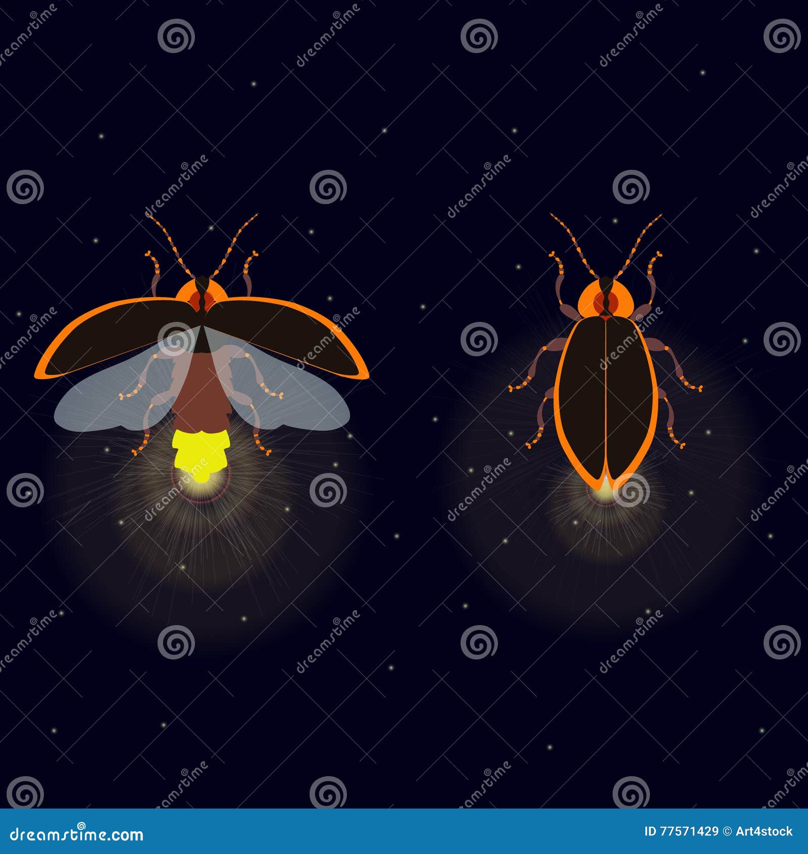 Firefly Luminous Glowworm Cartoon Vector 110892397