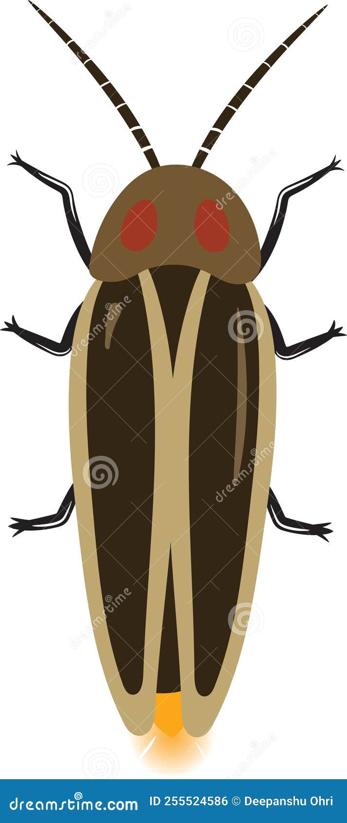 Firefly stock vector. Illustration of light, lightning - 255524586