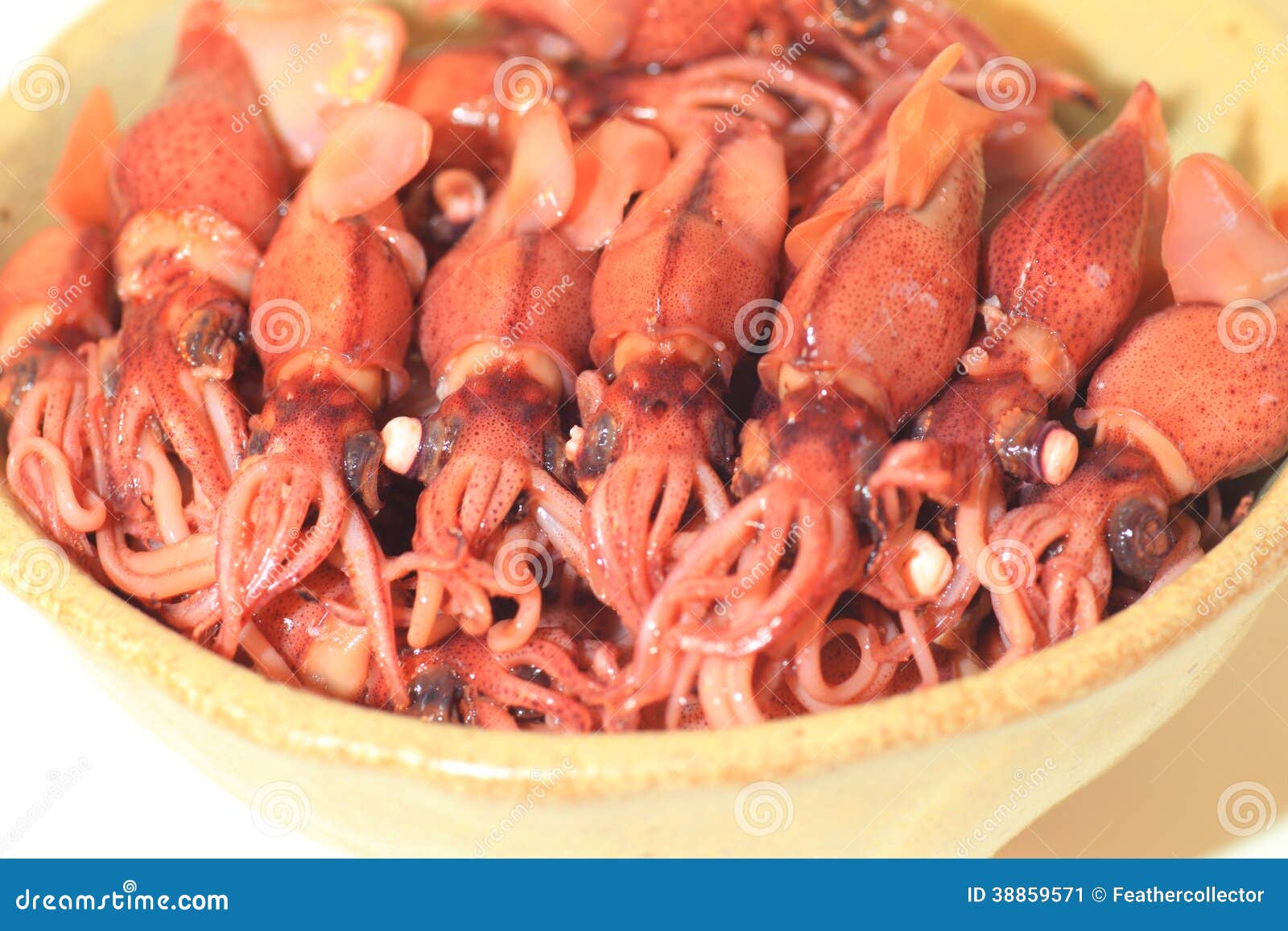 Firefly squid stock image. Image of squid, watasenia - 38859571