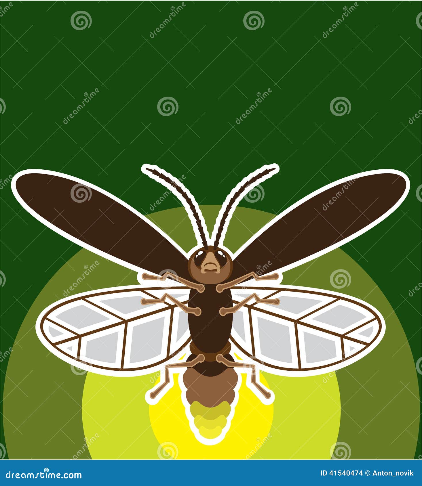 Firefly stock vector. Illustration of captured, arthropod - 41540474