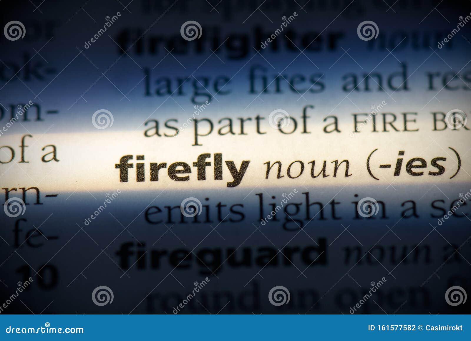Firefly stock photo. Image of word, highlight, firefly - 161577582