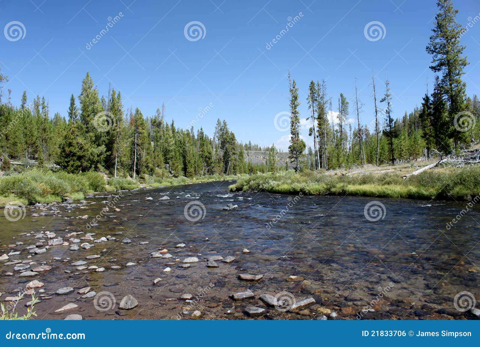 Firehole River - Yellowstone Stock Photo - Image of environment ...
