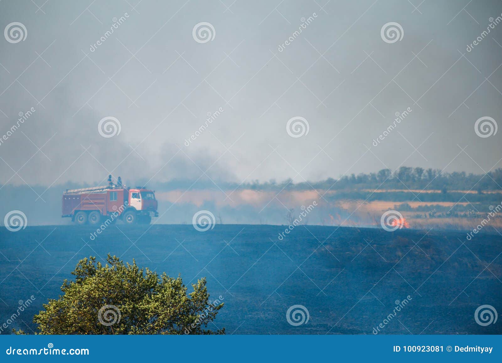 Fireman Extinguishing, Fire Truck and Rescuers Extinguish Forest Fires ...