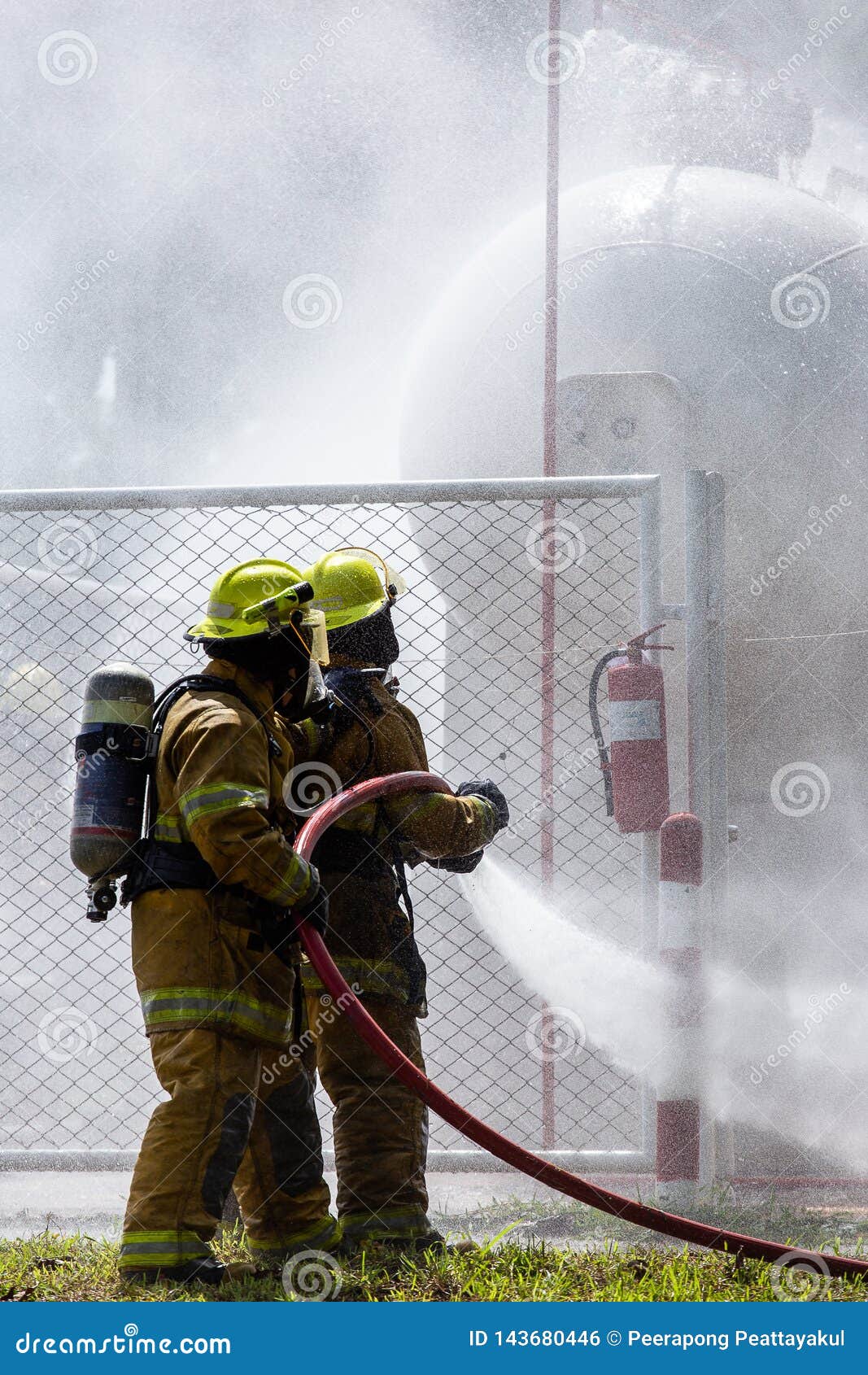 Fireman on the fire stock photo. Image of fighter, forest - 143680446