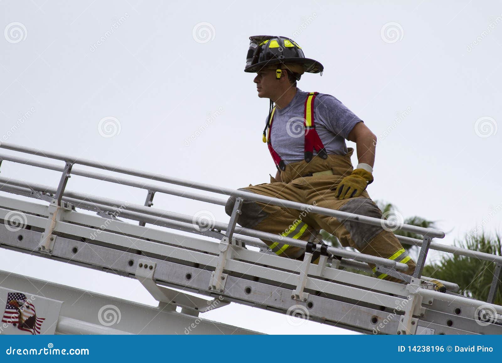 Fireman on ladder stock photo. Image of helmet, ladder - 14238196