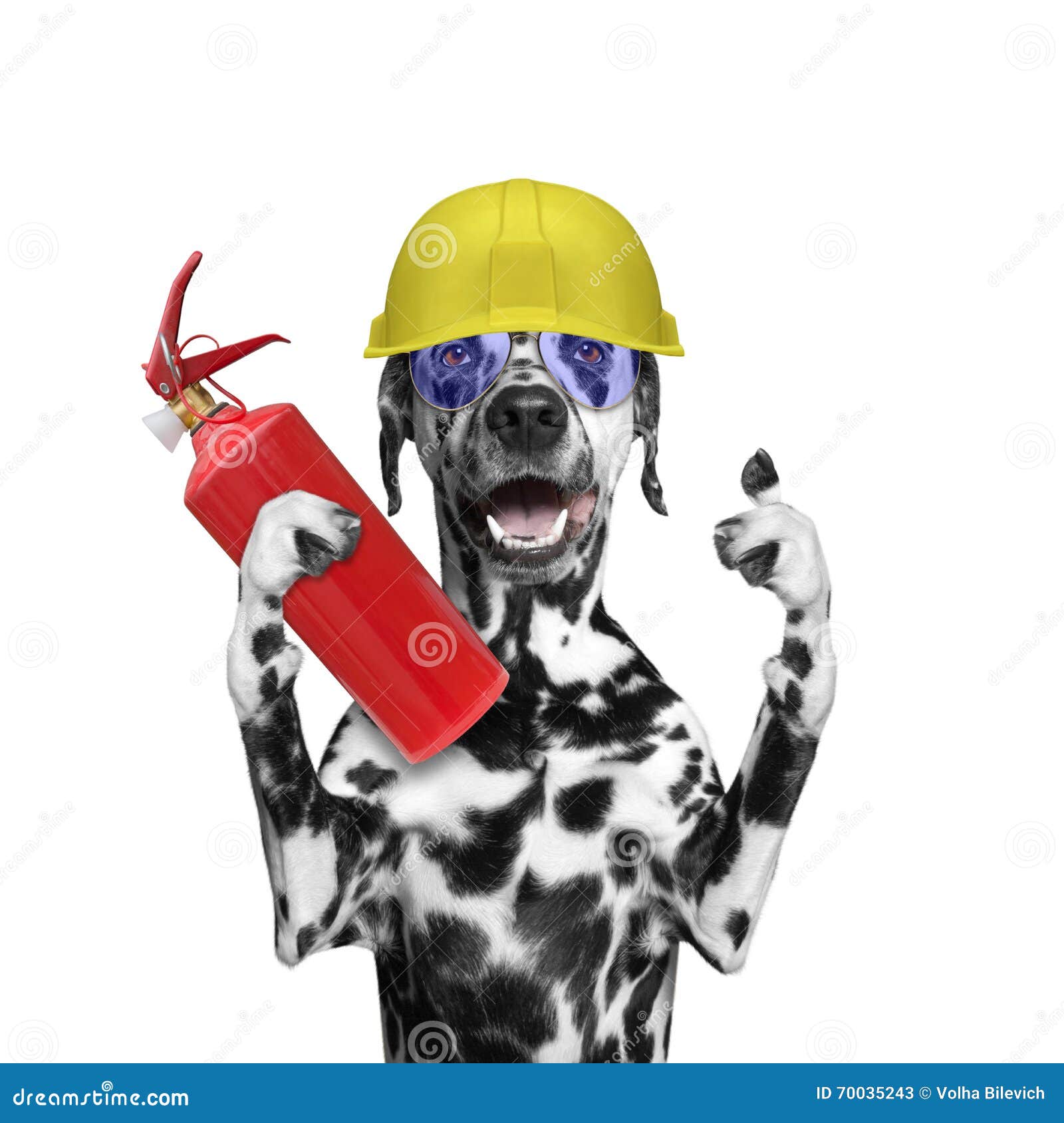 Fireman Rescues a Dog from the Fire All Stock Image - Image of ...