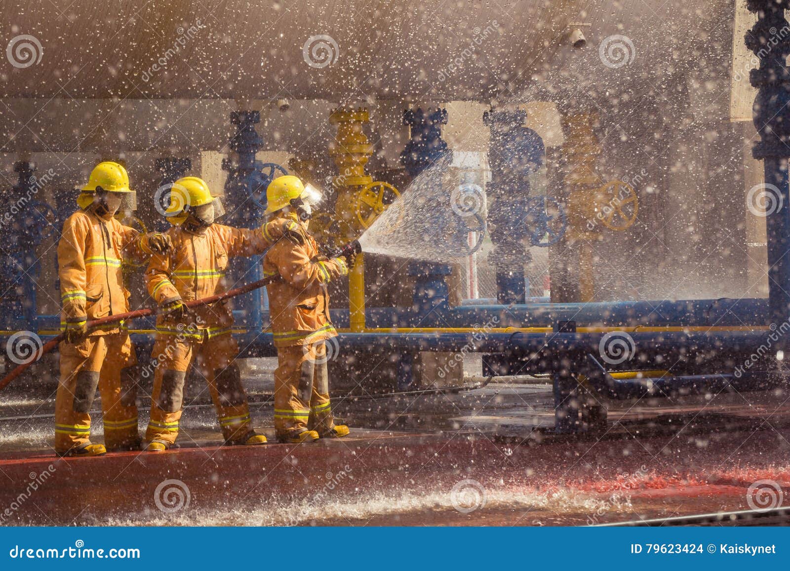 Fireman Showing How To Use a Fire Sprinklers. on a Training Fire Stock ...