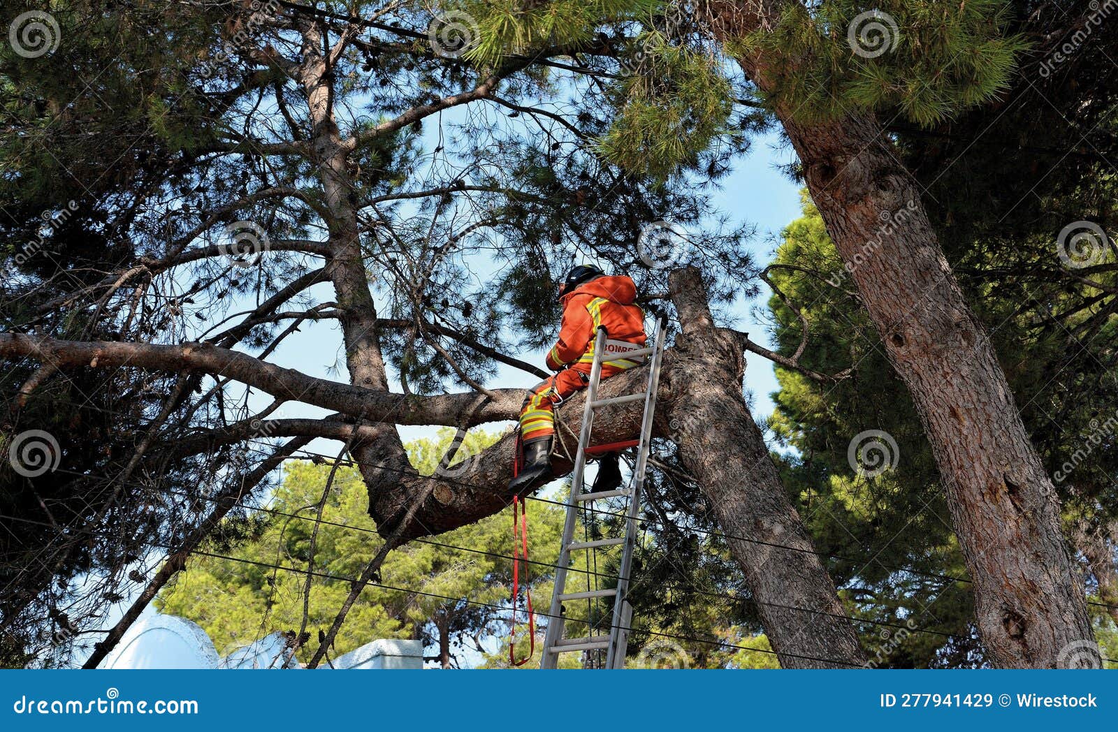 Fireman Sitting on a Large Tree Trunk Stock Image - Image of mask ...