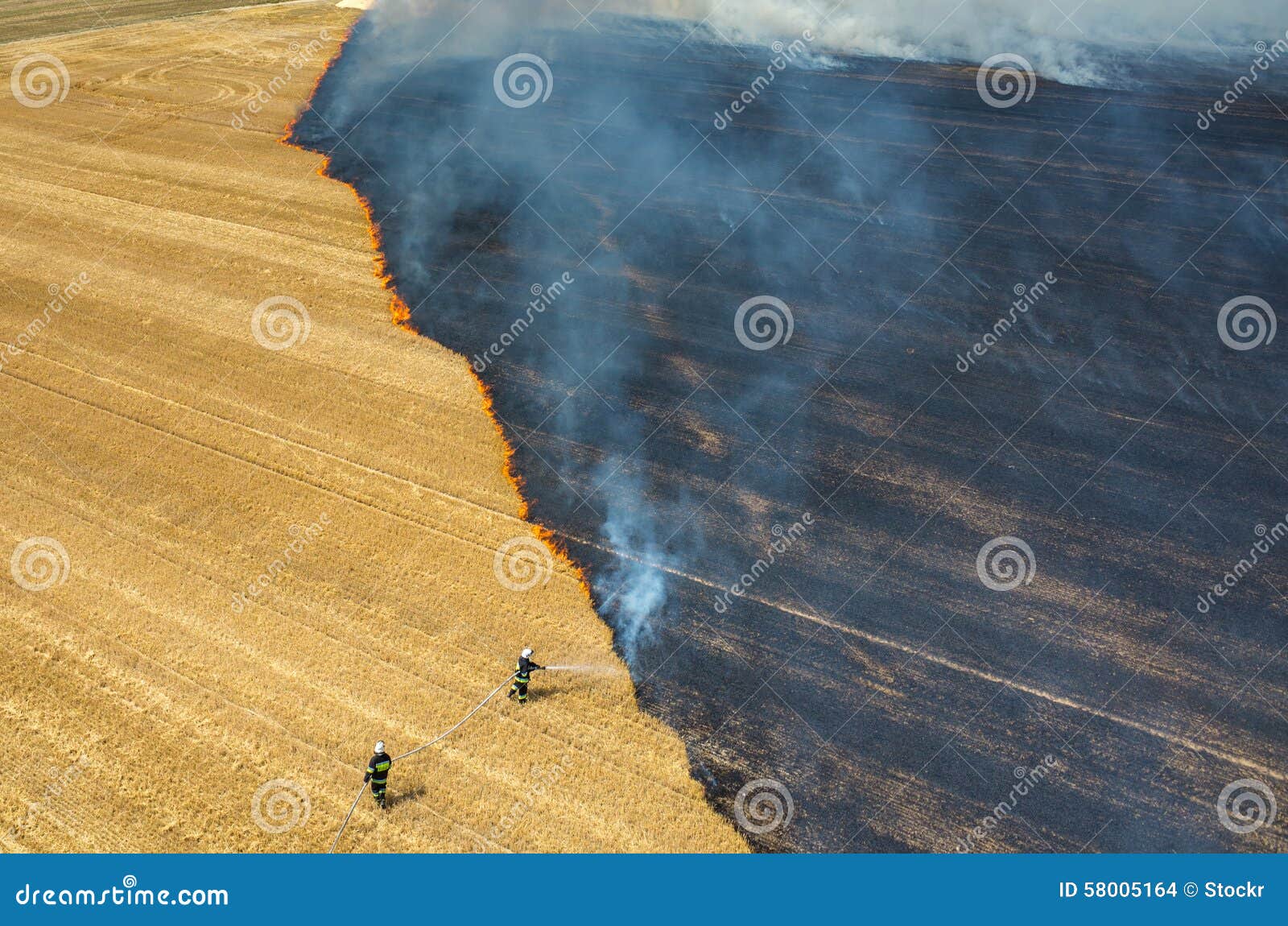Fireman Truck Working on the Field on Fire Stock Photo - Image of land ...
