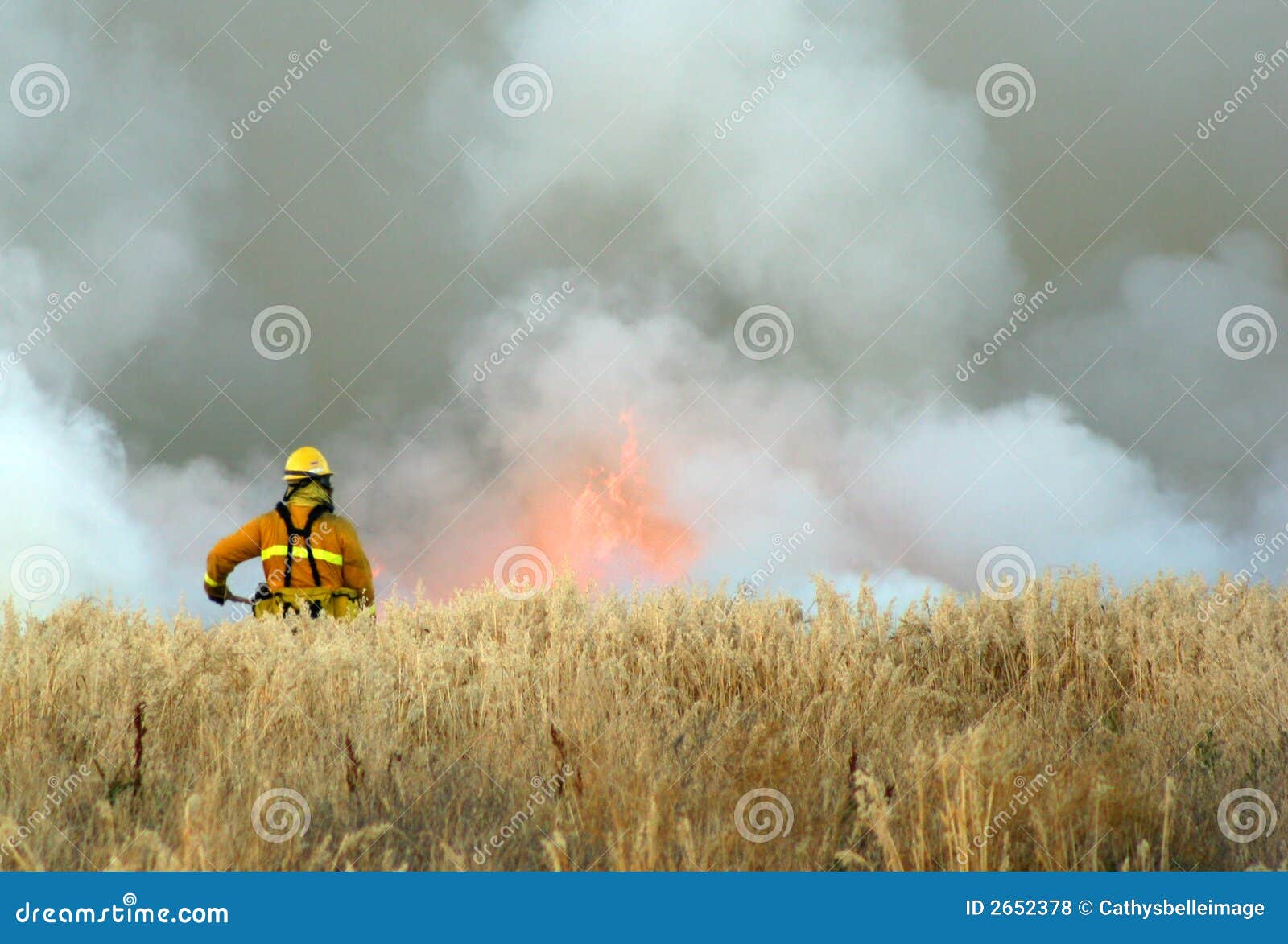 Fireman at work stock photo. Image of burning, fire, fireman - 2652378