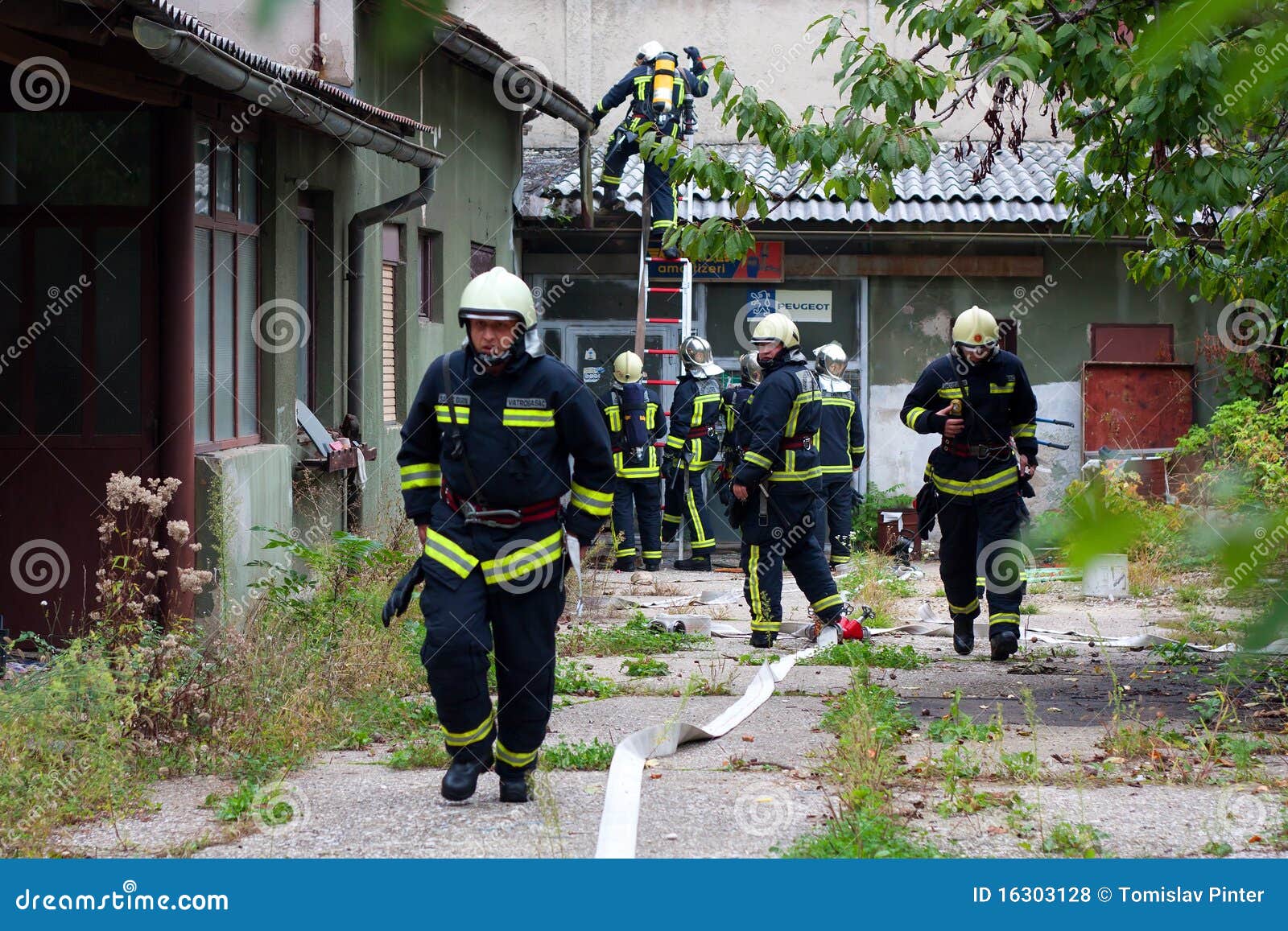 Firemen editorial stock photo. Image of conflagration - 16303128