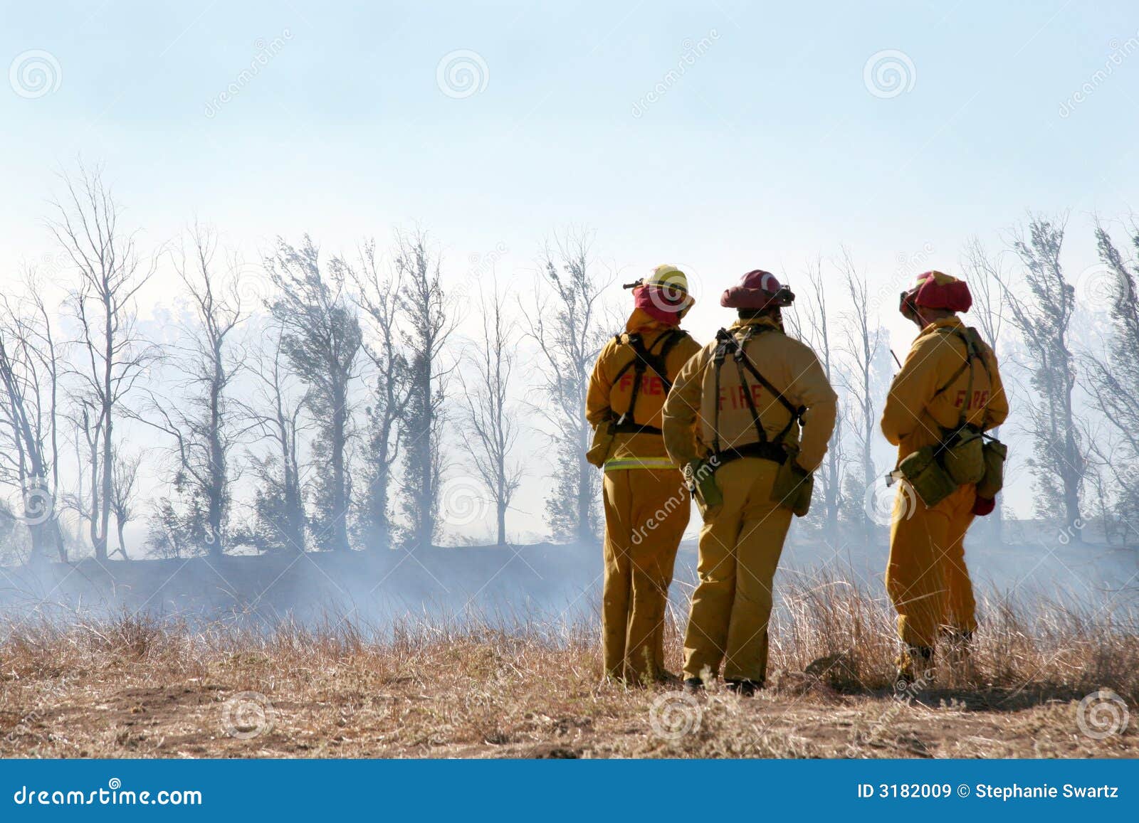 Firemen Looking at Damage stock image. Image of learn - 3182009